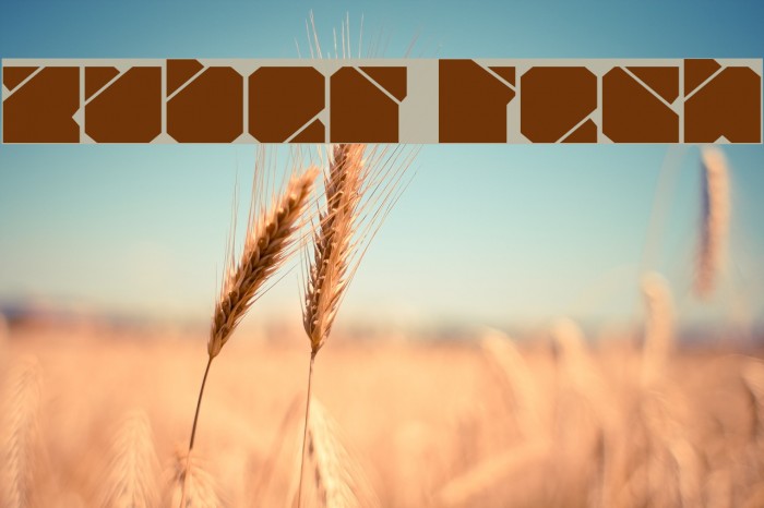 Zuber tech Font - FFonts.net